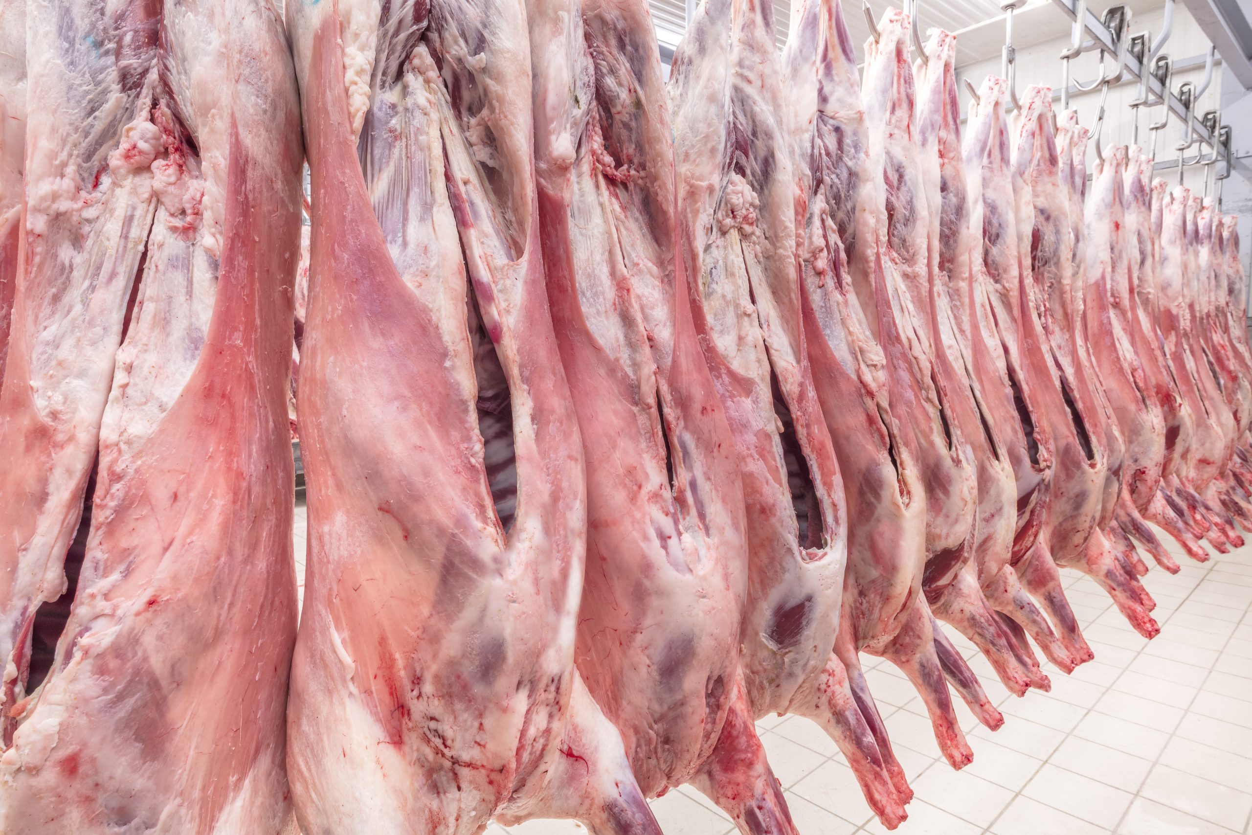 Halal Sheep Mutton Carcass | My MeatShop Business